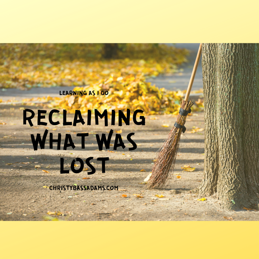 Reclaiming What Was Lost -Learning As I Go