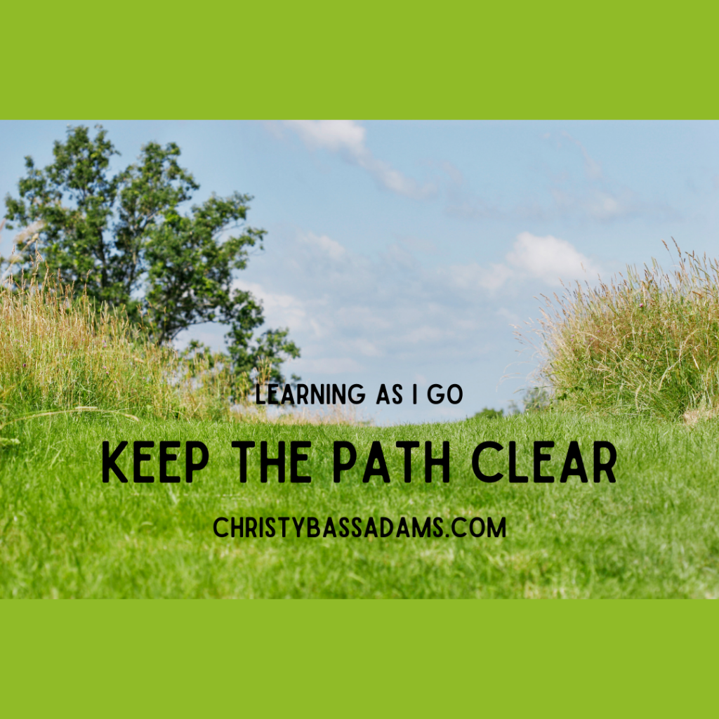 Keep the Path Clear - Learning As I Go