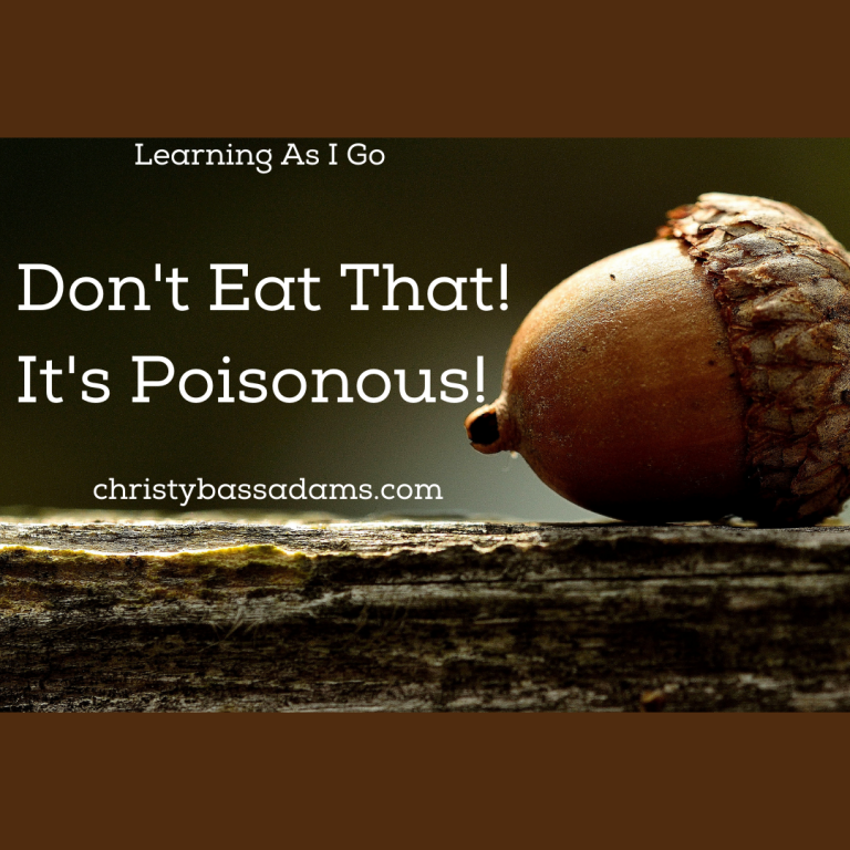Don't Eat That! It's Poisonous! - Learning As I Go